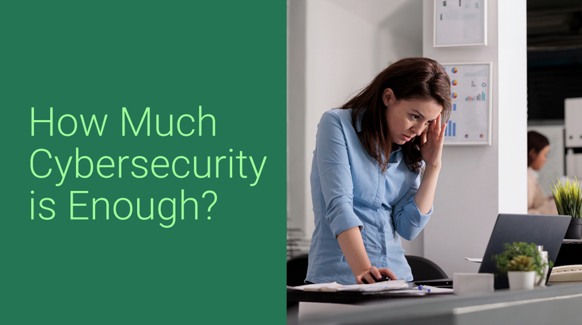How Much Cybersecurity is Enough?